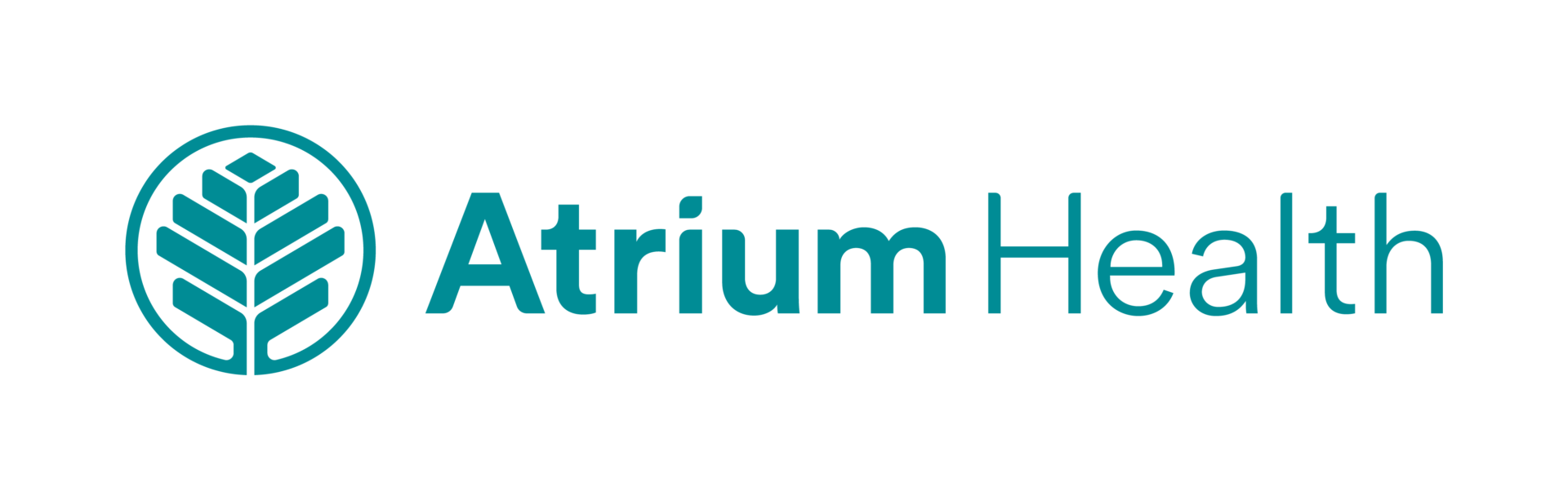 Festival Latinoamericano – La Coalicion